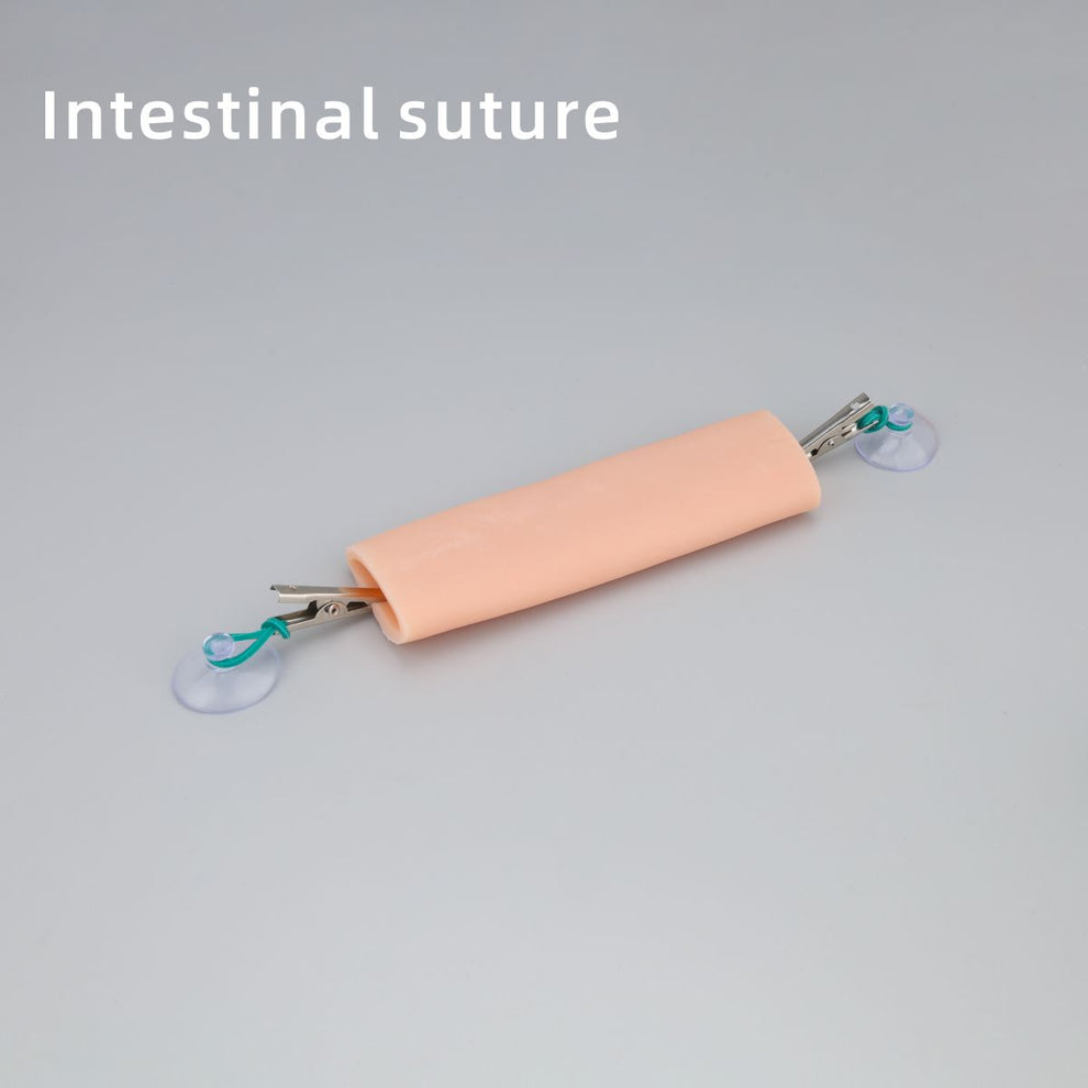 Full Set Laparoscopic Trainer Simulator Training Box with HD Camera an ...